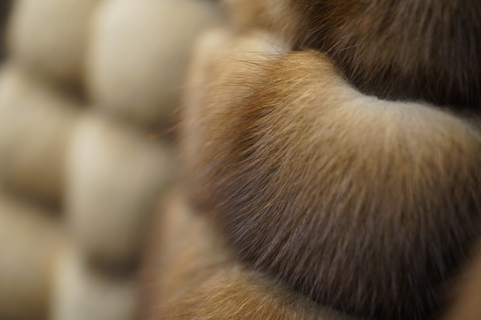 Der Pelz im Sommer - Pflege, Aufbewahrung und Sommerpelze - Mersmann ...